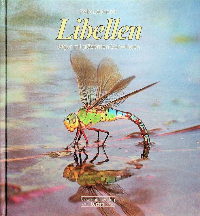 Felix Labhardt Libellen Jäger mit gläsernen Schwingen (Gebraucht) in ...