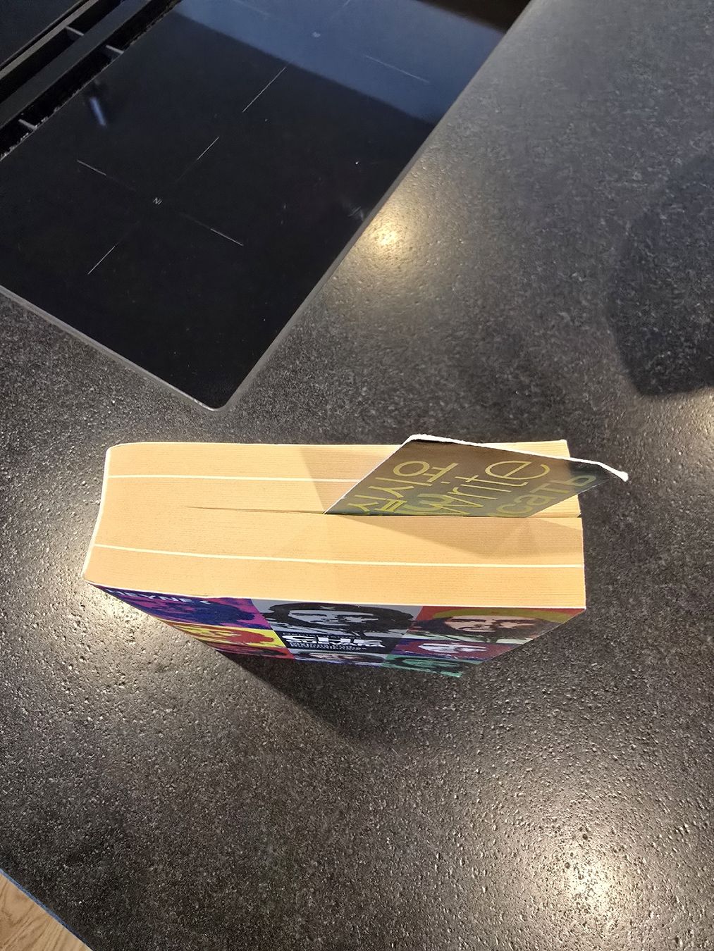 Che Guevara Biografie von Daniel James - Top Zustand! (Neu (gemäss ...