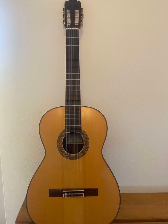 Konzertguitarre Diethard DF-5 | Kaufen auf Ricardo