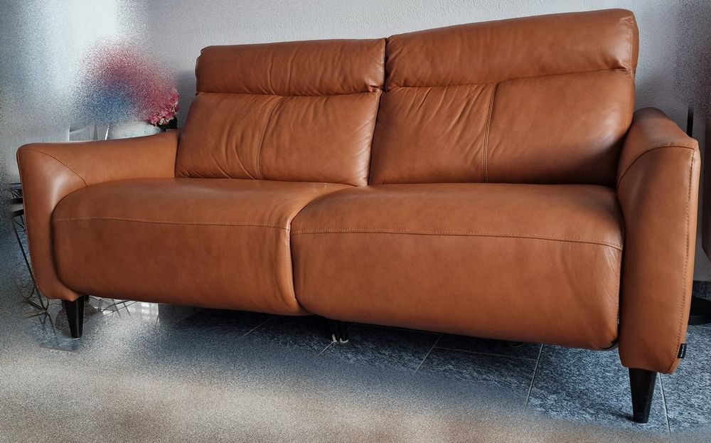 Faszinierend Ledersofa Pflege Rossmann Fotos