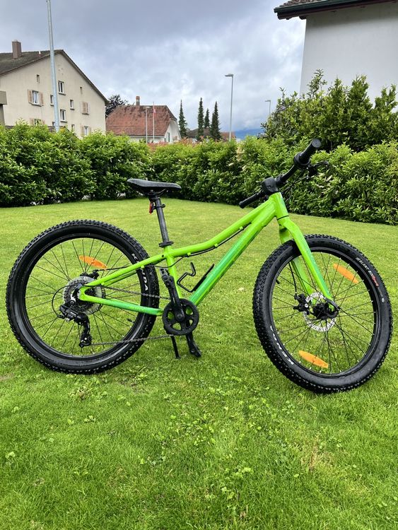 Scott Roxter 24 | Kaufen auf Ricardo