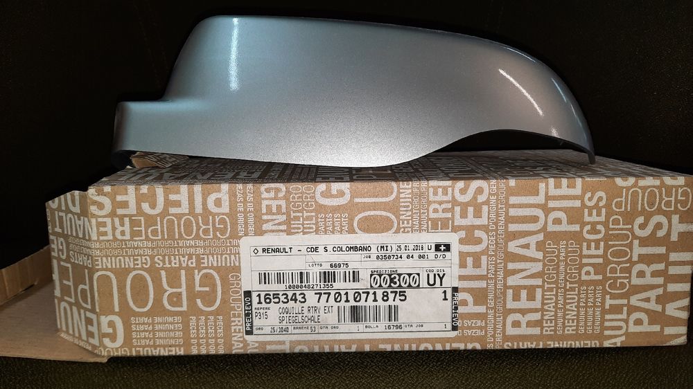 7701071875 RENAULT Abdeckung-Außenspiegel li. (lackiert D69) (Neu und ...