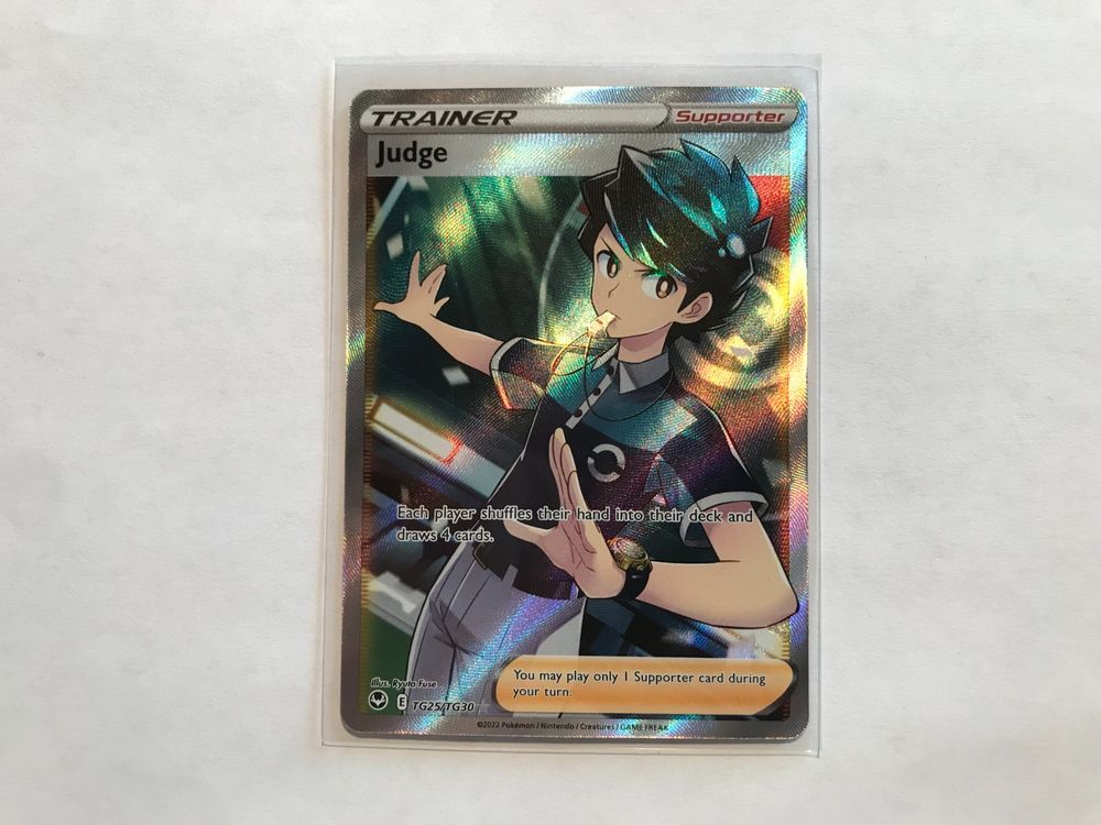 Trainer Gallery Judge Silver Tempest EN (Gebraucht) in Hagendorn für ...