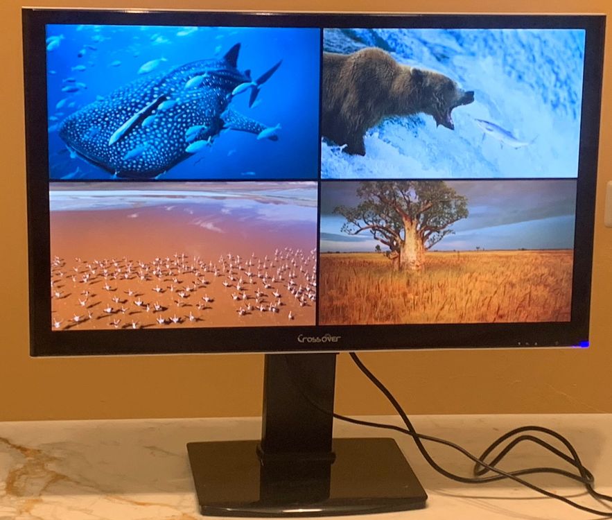 Crossover 27Q LED-P 27" HD 2560X1440 S-IPS DVI QHD PIVOT (Gebraucht) in ...