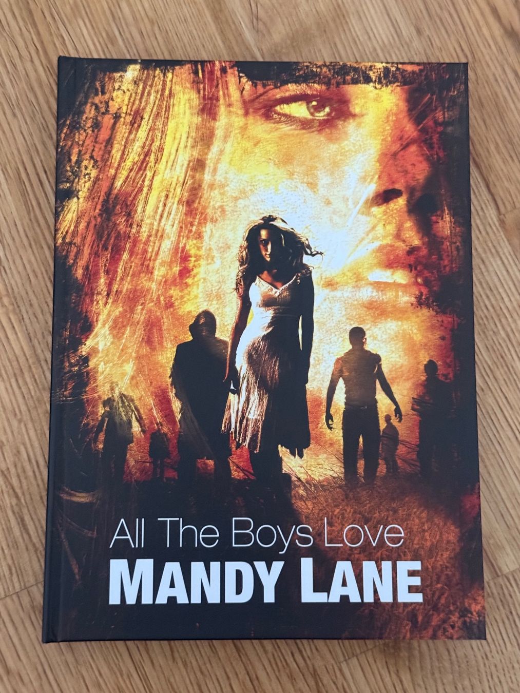 All the Boys love Mandy Lane Mediabook Cover C (Gebraucht) in Rothrist ...