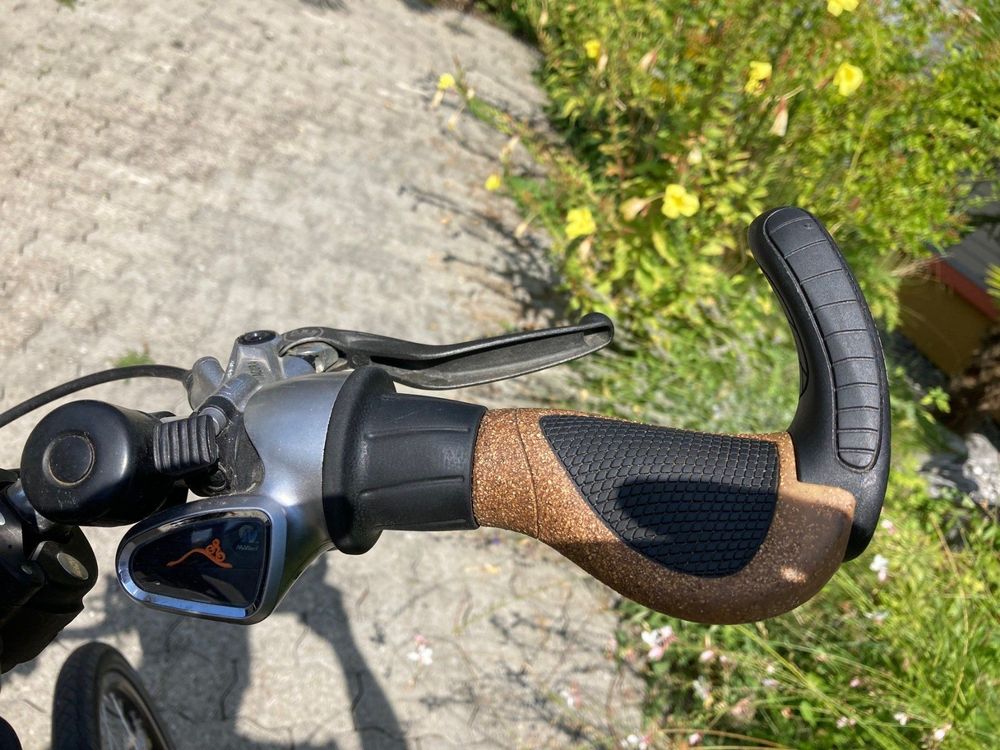 FLYER T12 mit 1700 km E-Bike/Elektrovelo;Batterie für 140 km (Gebraucht) in Stein am Rhein für ...