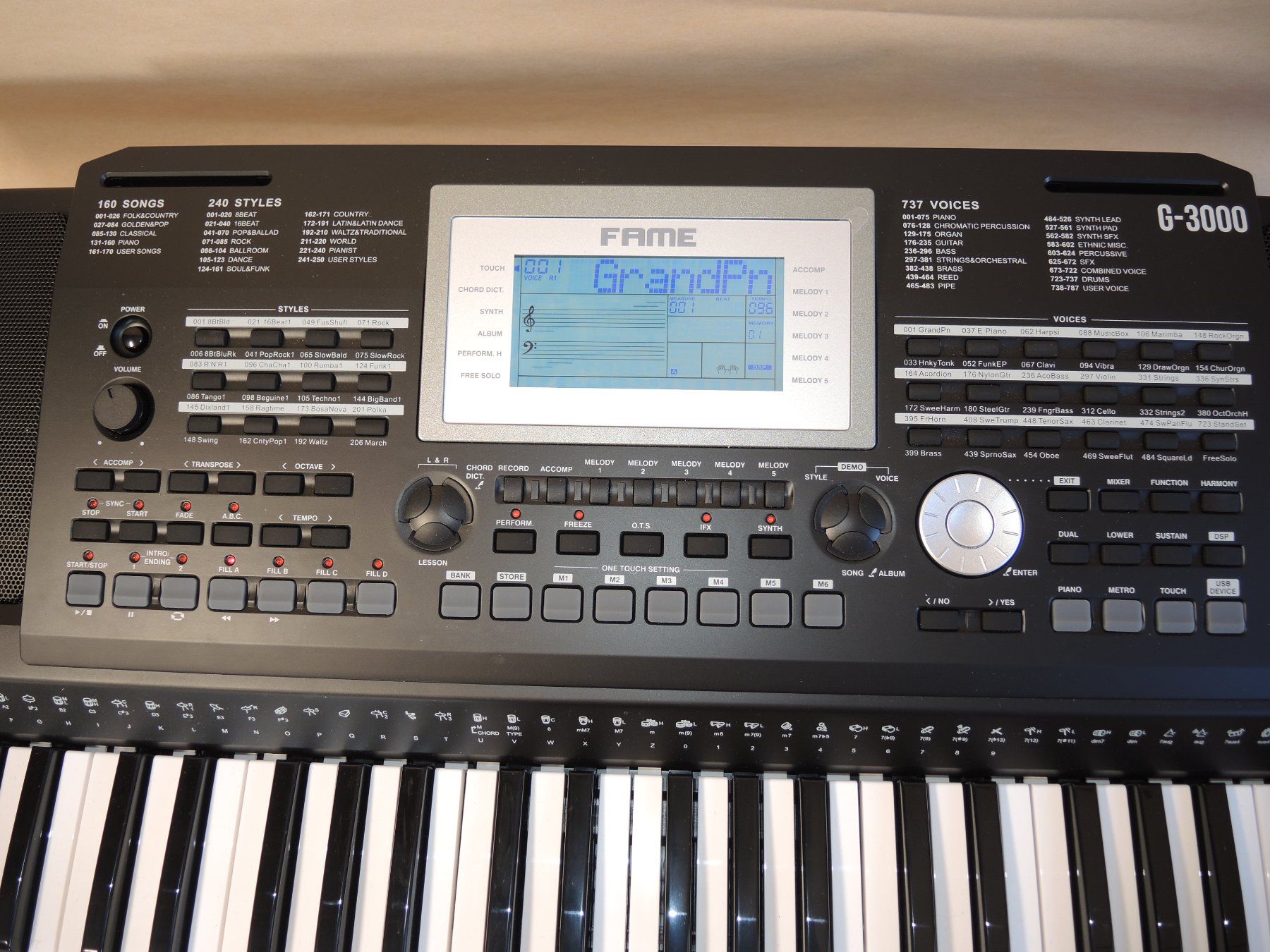 Fame G-3000 Home Keyboard elektrisches E Piano mit Ständer (Gebraucht ...