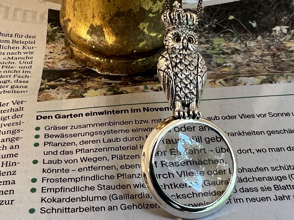 Anhänger Lupe Eule Uhu mit Krone Sterling Silver 925 | Kaufen auf Ricardo