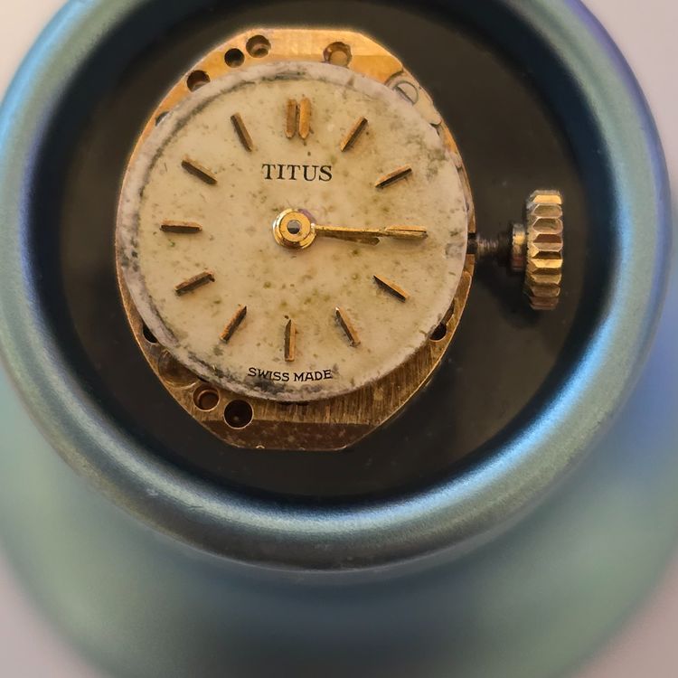 Mouvement Titus Watch (Defekt) in Tramelan für CHF 5 – mit Lieferung ...