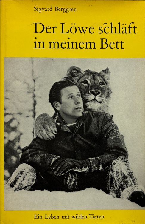Lowe Und Lowe Im Bett