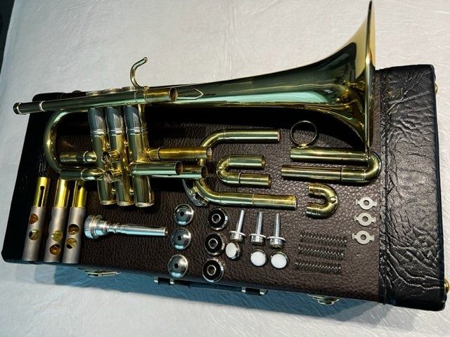 Mini Trompete New York in Es (wie Neu) (Neu (gemäss Beschreibung)) in ...