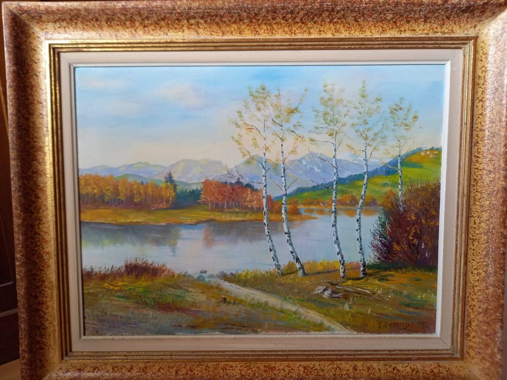 Landschaft mit See (Gebraucht) in Wohlen b. Bern für CHF 30 – nur Abholung auf Ricardo kaufen