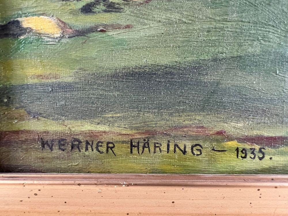 Gemälde von Werner Häring (Gebraucht) in Neuhausen am Rheinfall für CHF 10 – mit Lieferung auf ...