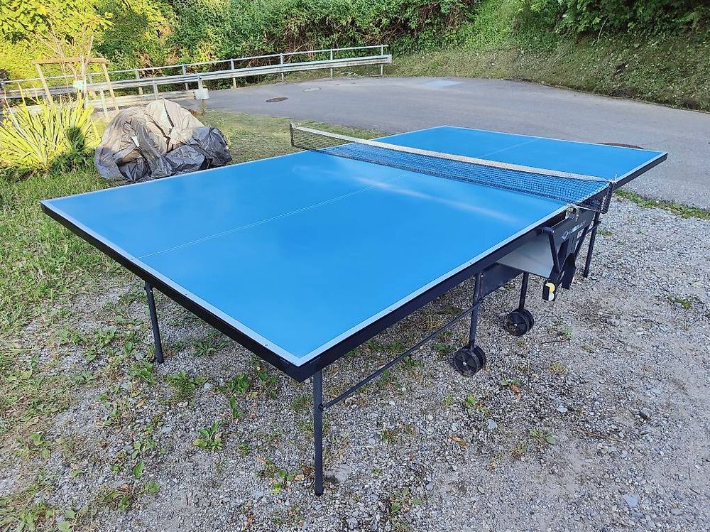 Ping-Pong Tisch / Tischtennis Schildkröt (Usato) a Pugerna per CHF 40 ...