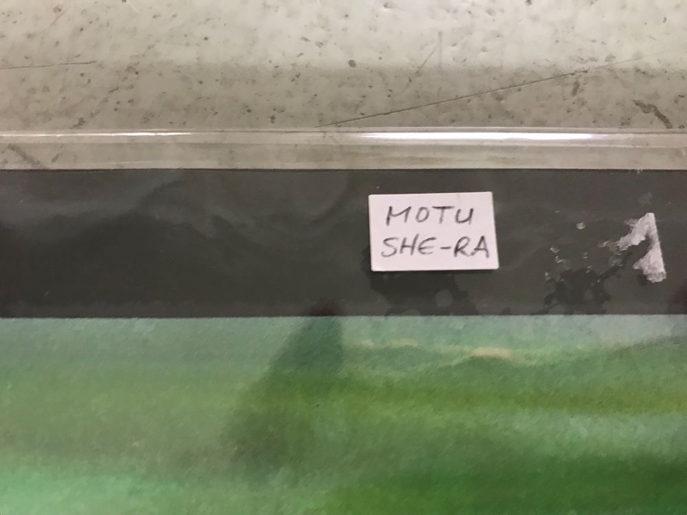 Original Vintage Animation Cells Masters of the Universe (Gebraucht) in ...