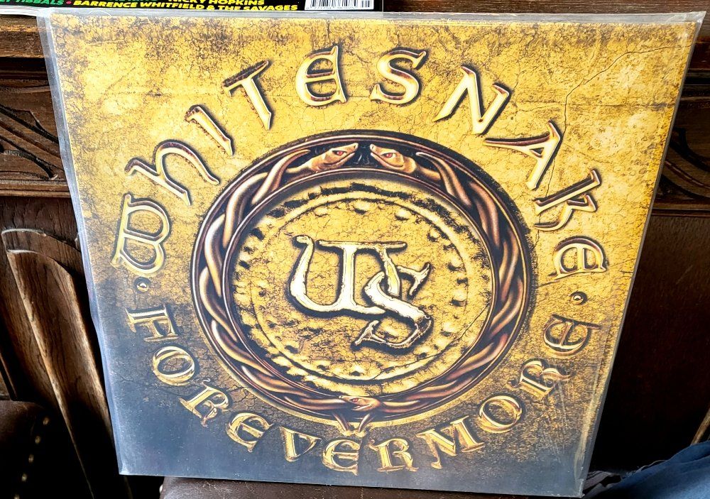 Whitesnake – Forevermore - LP (Gebraucht) in Reinach BL für CHF 85 ...