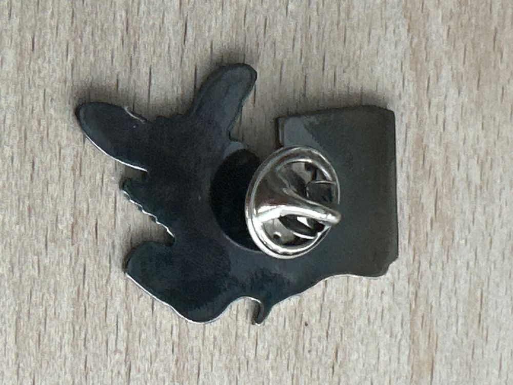 PIN V6 | Kaufen auf Ricardo
