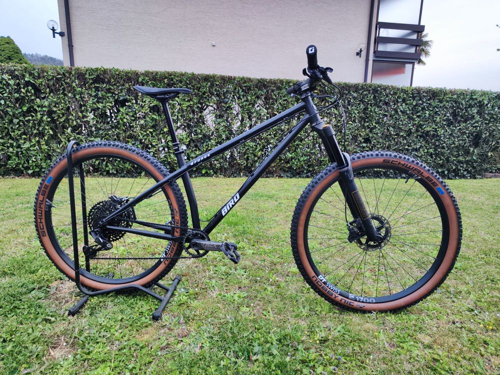 Bird Forge - Reynolds 853 Steel Hardcore hardtail - Ab 1.-! | Kaufen auf Ricardo