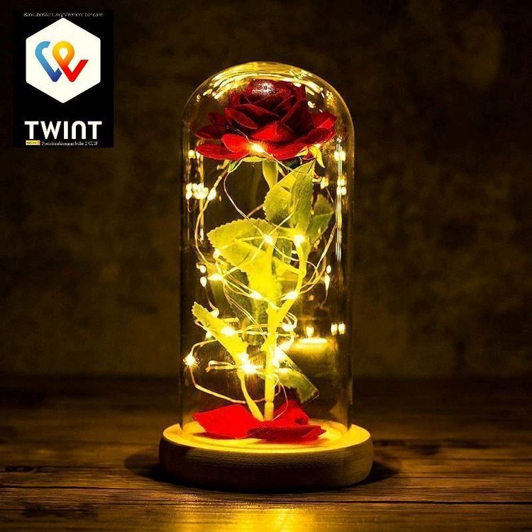 Schöne Rose in Glas für Valentinstag / Belle rose en verre (Neu und ...