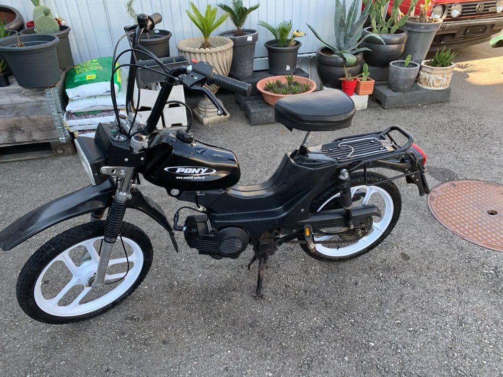 Pony Cross 521 Jg. 2019 | Acheter sur Ricardo