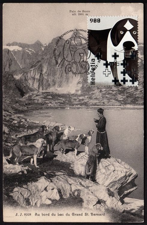 Maximumkarte Crypto Stamp - Bernhardiner Walter (Unikat) (Neu (gemäss Beschreibung)) in Dottikon ...