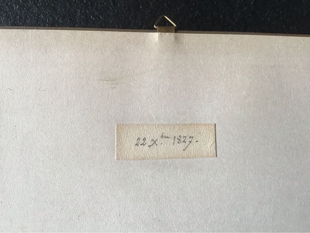 Birke im Frühling, Gouache in Sepia, Orignal Aquarell 1827 (Gebraucht) in Aefligen für CHF 45 ...