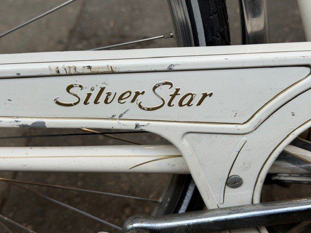 Retro Damenfahrrad Silver Star (Defekt) in Aarburg für CHF 20 – nur ...