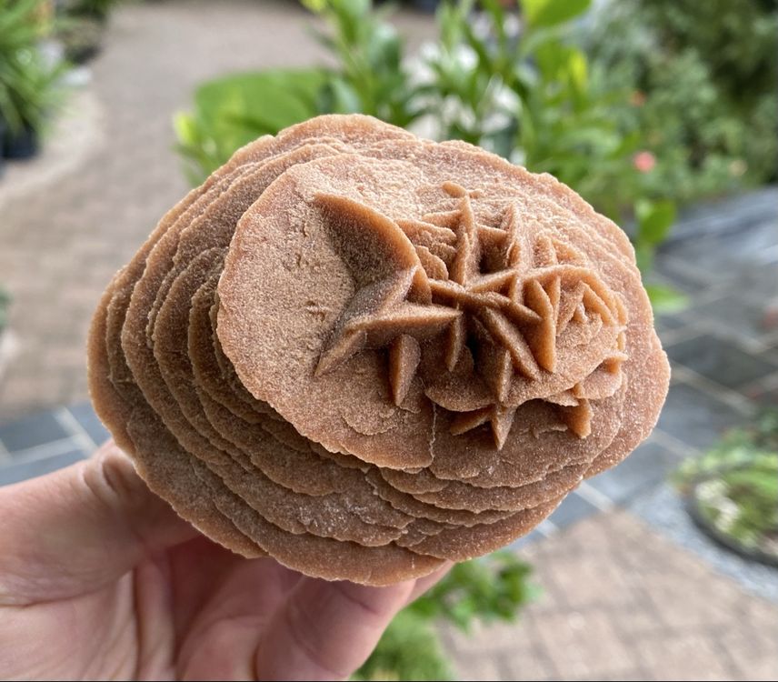 Wunderschöne Sandrose (Gebraucht) in Selzach für CHF 16 – mit Lieferung ...