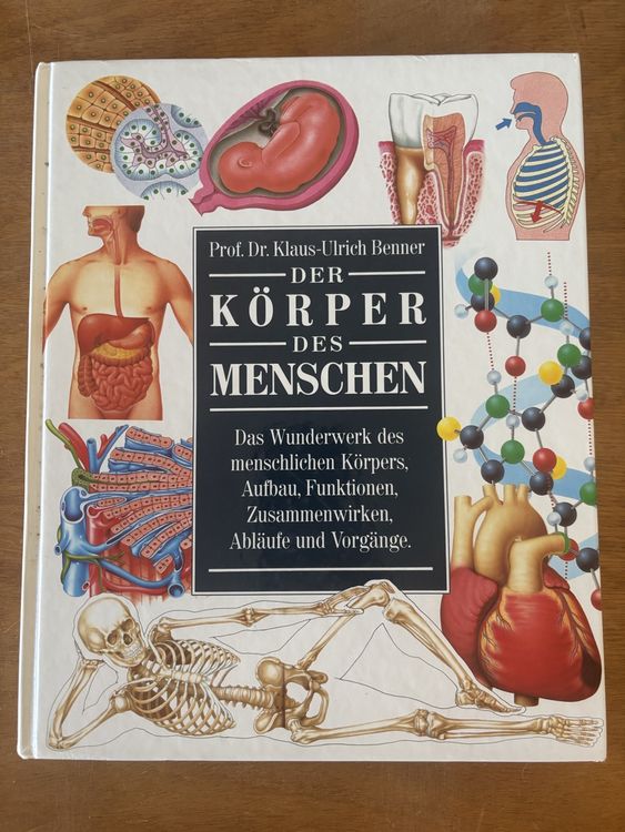 Der Körper des Menschen (Gebraucht) in Zürich für CHF 6 – mit Lieferung ...