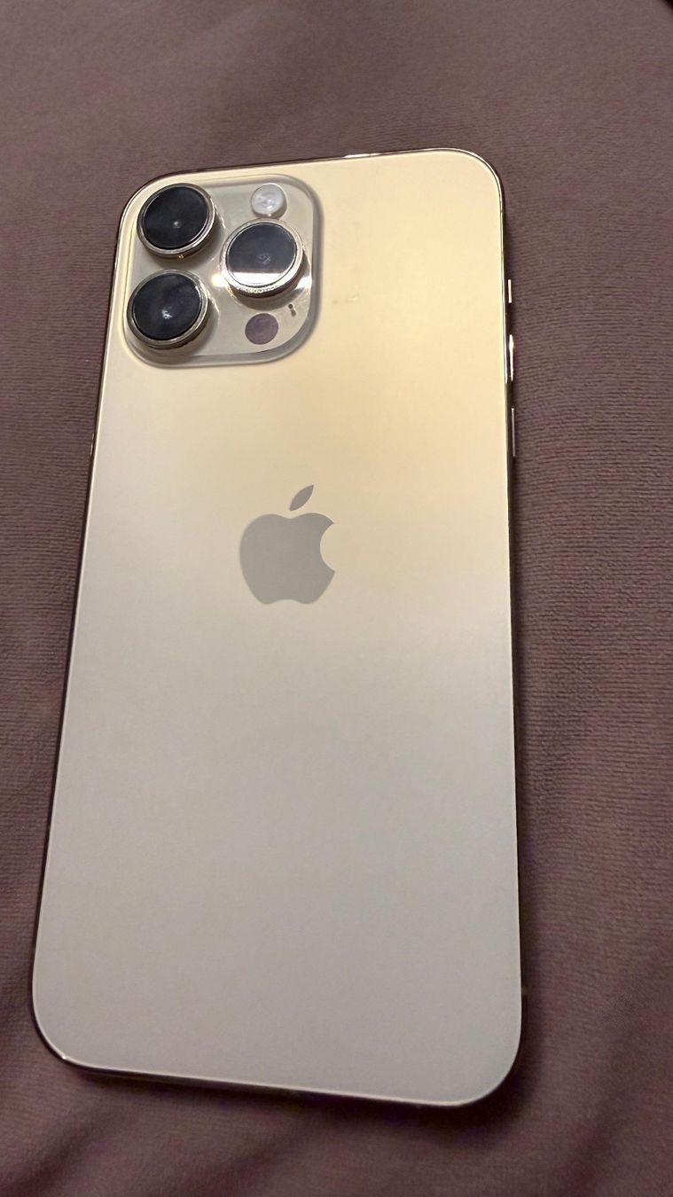 iPhone 14 Pro Max, 256 GB, Gold - Top Zustand! 📱 (53) (Gebraucht) in ...