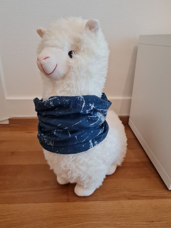 Buff (Gebraucht) in Basel für CHF 7 – mit Lieferung auf Ricardo kaufen