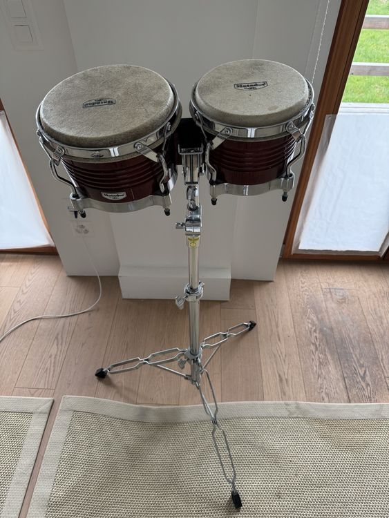Matador Bongos mit Ständer (LP) (Gebraucht) in Bülach für CHF 50 – nur ...