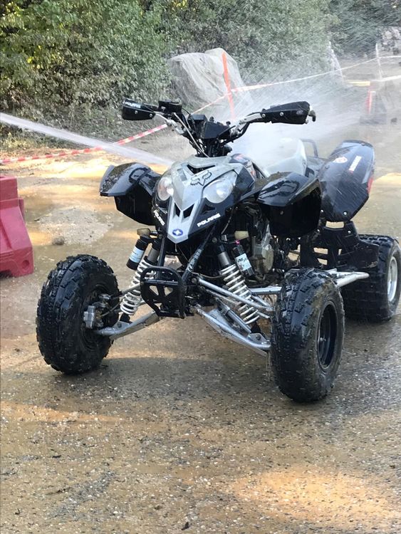 Quad Polaris IPS Predator 500 (Gebraucht) in Melchnau für CHF 4900 ...