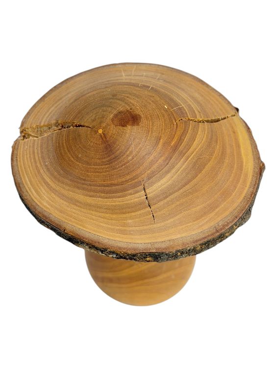 Champignon en bois massif tourné, pièce unique. H. 16 cm (D'occasion) à ...