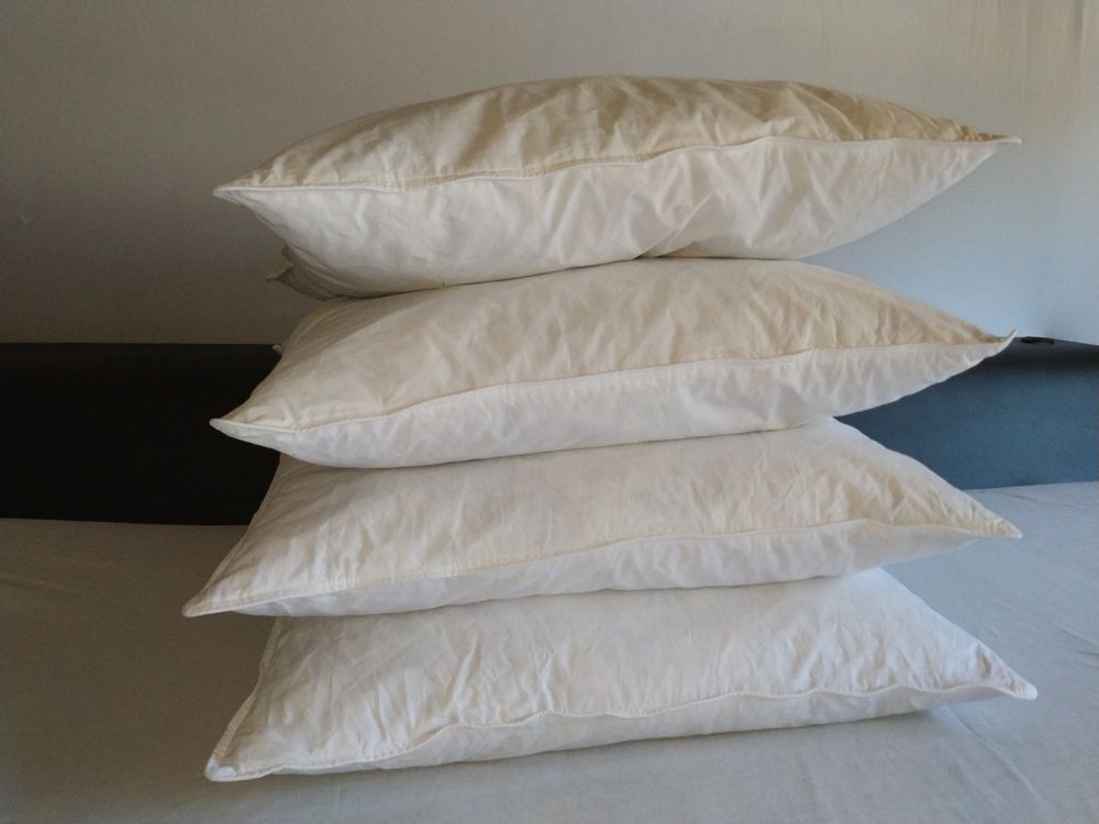 4 NEUE Entenfeder-Kopfkissen (Neu (gemäss Beschreibung)) in Zizers für CHF 30 – mit Lieferung ...