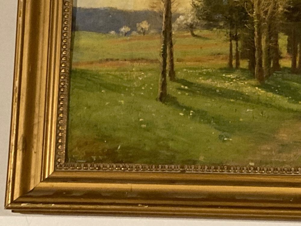 Jakob Herzog (1867-1959) Landschaftsgemälde mit Dorf, Bäume (Gebraucht) in Hirzel für CHF 200 ...