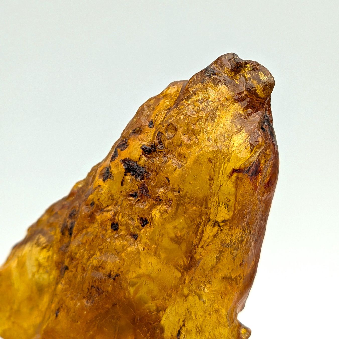 HONIGFARBENER KOPAL-BERNSTEIN mit MÜCKEN und INSEKTEN (Neu (gemäss Beschreibung)) in Balerna für ...