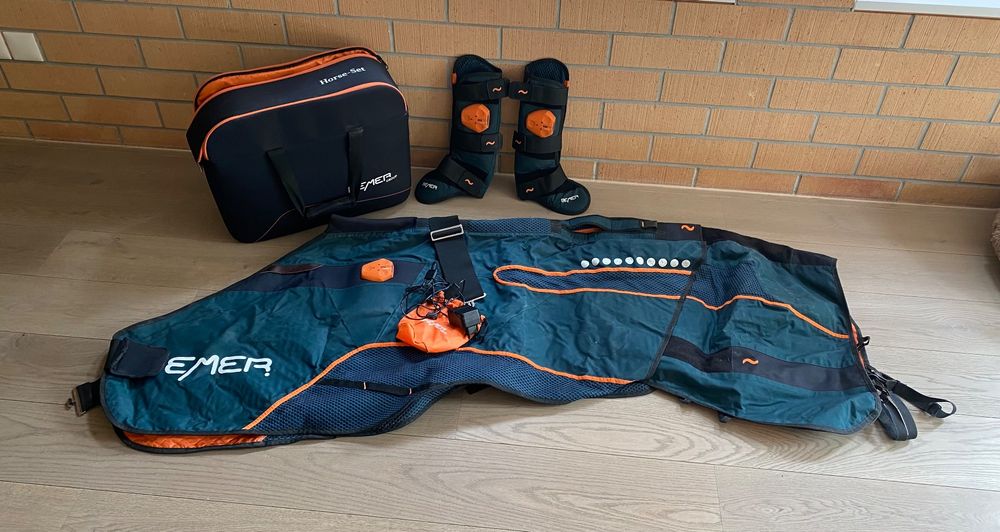 Bemer Horse Set (Gebraucht) in für CHF 2510 – mit Lieferung auf Ricardo ...