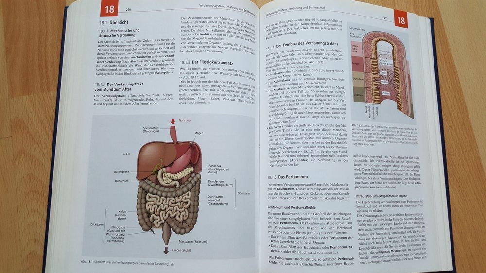 N. Menche BIOLOGIE ANATOMIE PHYSIOLOGIE! (Gebraucht) in Zürich für CHF ...