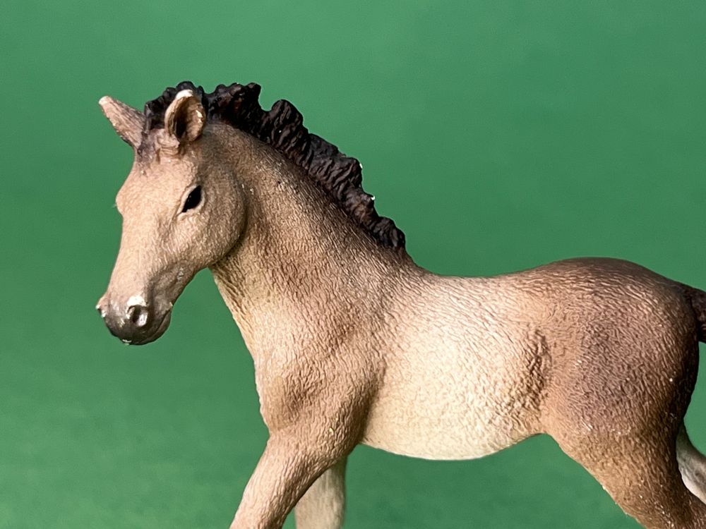 Schleich Horse Club 13822 Andalusier Fohlen Pferd | Kaufen auf Ricardo