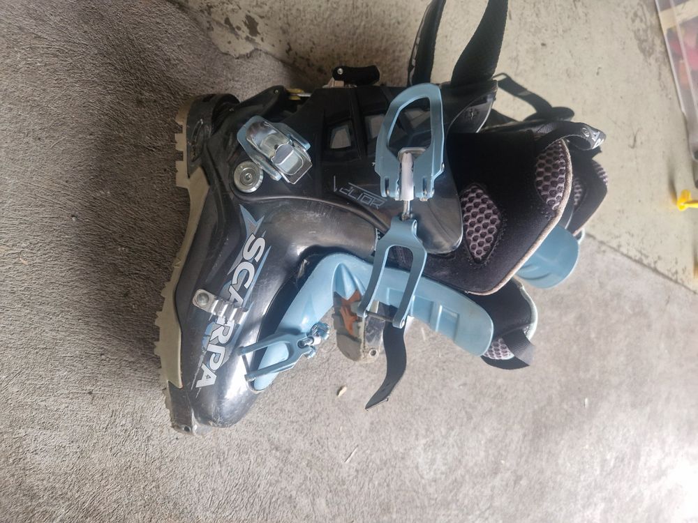 Scarpa Vector 280mm (Gebraucht) in Thun für CHF 30 – nur Abholung auf ...
