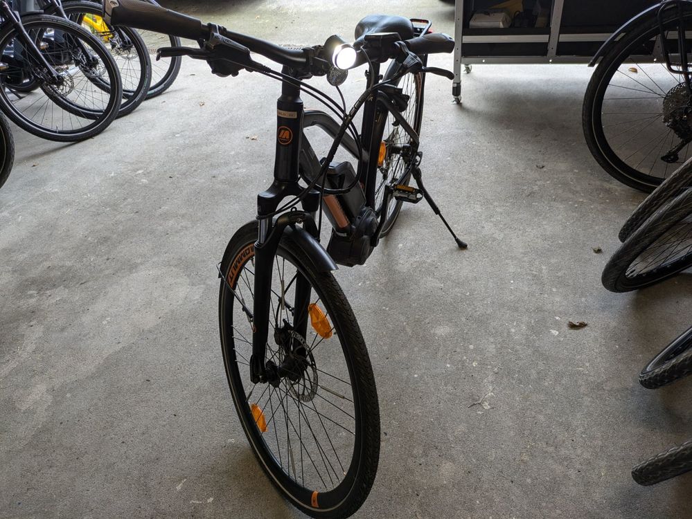 Mammut Edition Sport Bosch Performance CX RH 50 Trapez | Acheter sur ...