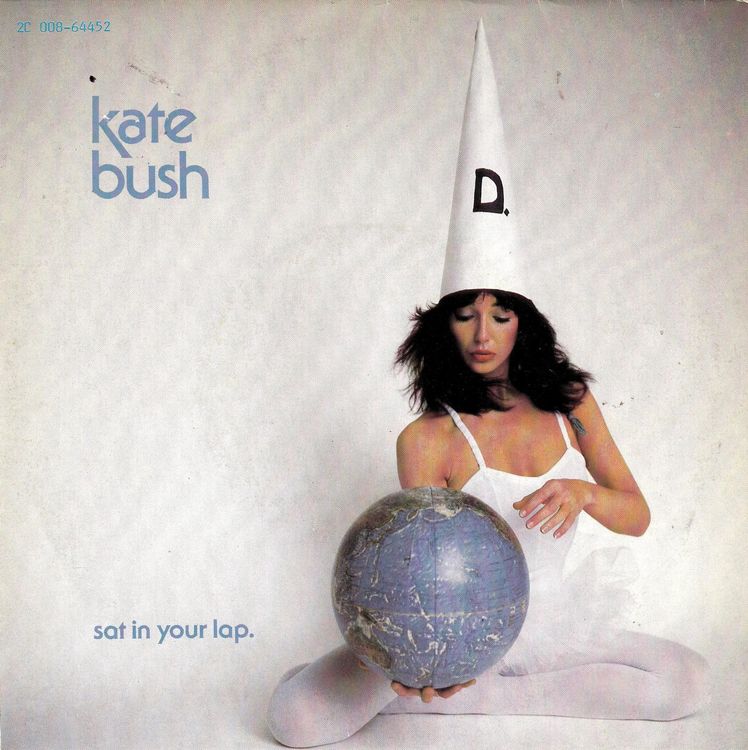 Kate Bush Vinyl Single von 1981 (Gebraucht) in Volketswil für CHF 10 ...