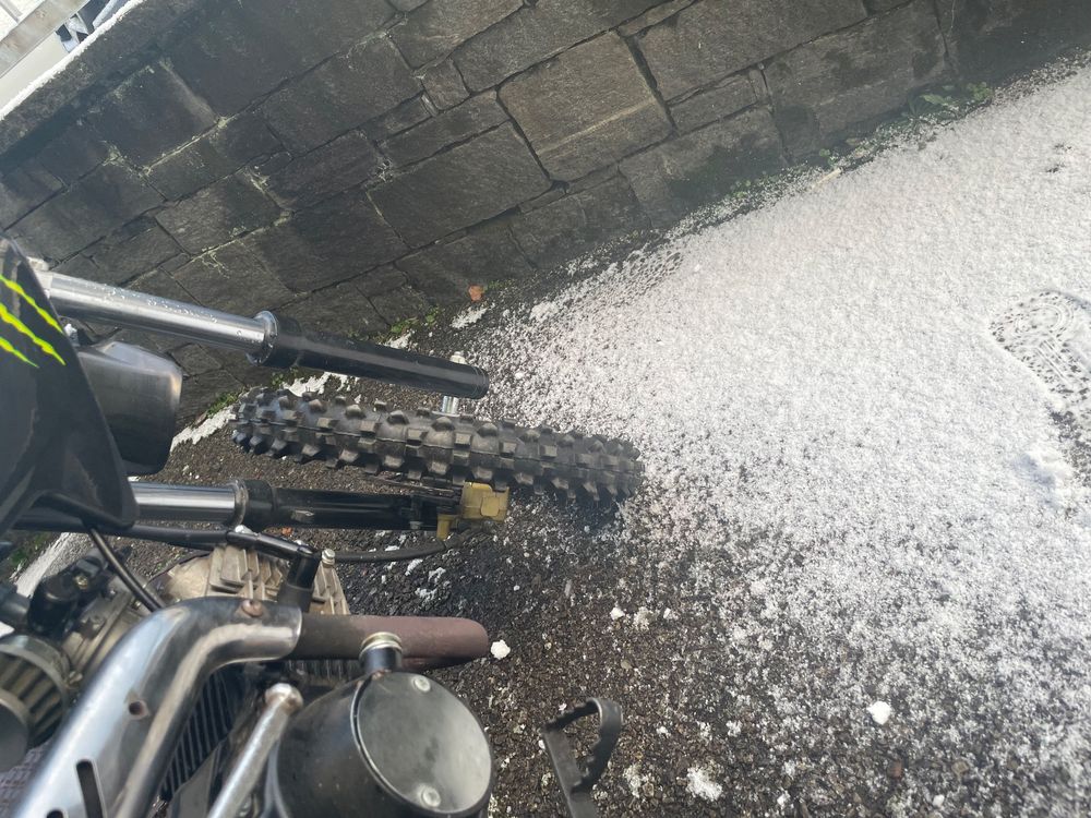 Pit Bike 125 Mit Neu rad und Neu stossdampfer (Gebraucht) in Gnosca für ...