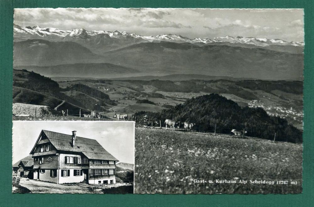 Wald ZH, Alp Scheidegg,Gast- und Kurhaus | Kaufen auf Ricardo