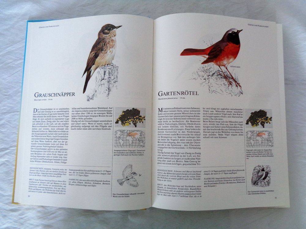Die häufigsten Vogelarten der Schweiz / Vogel Buch (Gebraucht) in ...