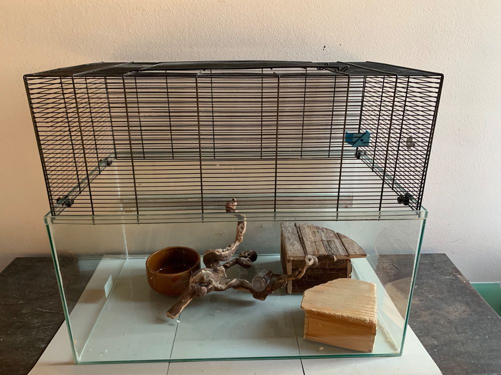 Mäusekäfig (Gebraucht) in Horgen für CHF 20 – nur Abholung auf Ricardo ...