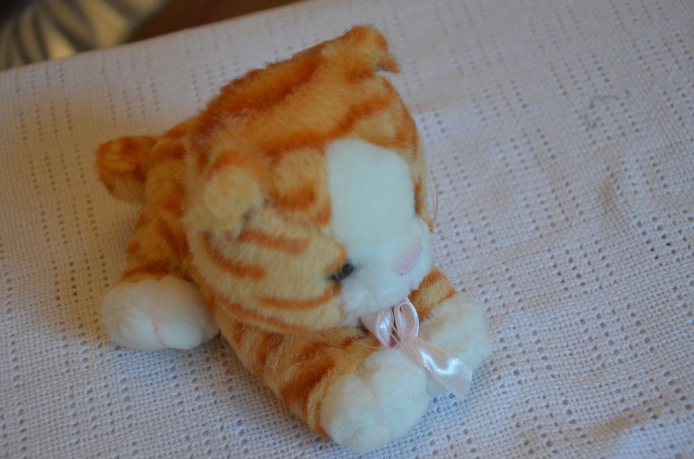 PELUCHE CHAT NEUF (Neu (gemäss Beschreibung)) in Chiasso für CHF 4 ...