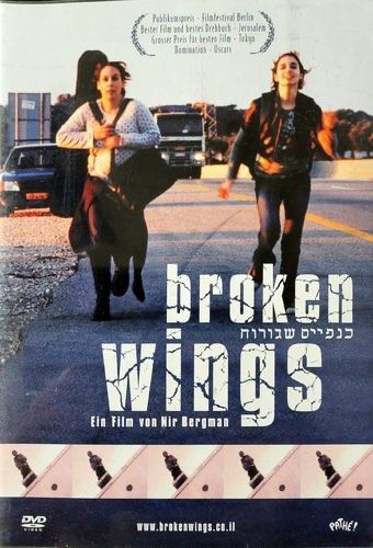 Broken Wings (2002) DVD (Gebraucht) in Thun für CHF 9.8 – mit Lieferung auf Ricardo kaufen