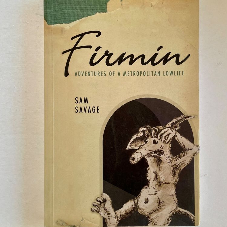Sam Savage - Firmin - Adventures of a Metropolitan Lowlife (Gebraucht ...